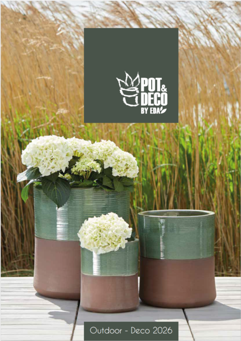 NOS CATALOGUES | EDA