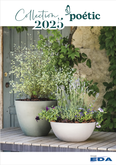 NOS CATALOGUES | EDA