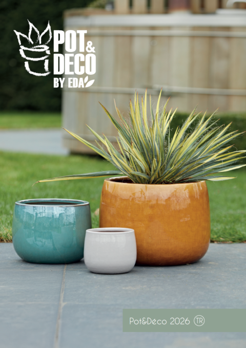 NOS CATALOGUES | EDA