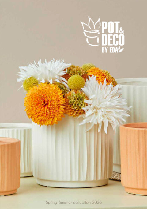 NOS CATALOGUES | EDA